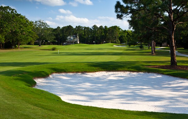 Castle Oaks Golf Club | Ione CA