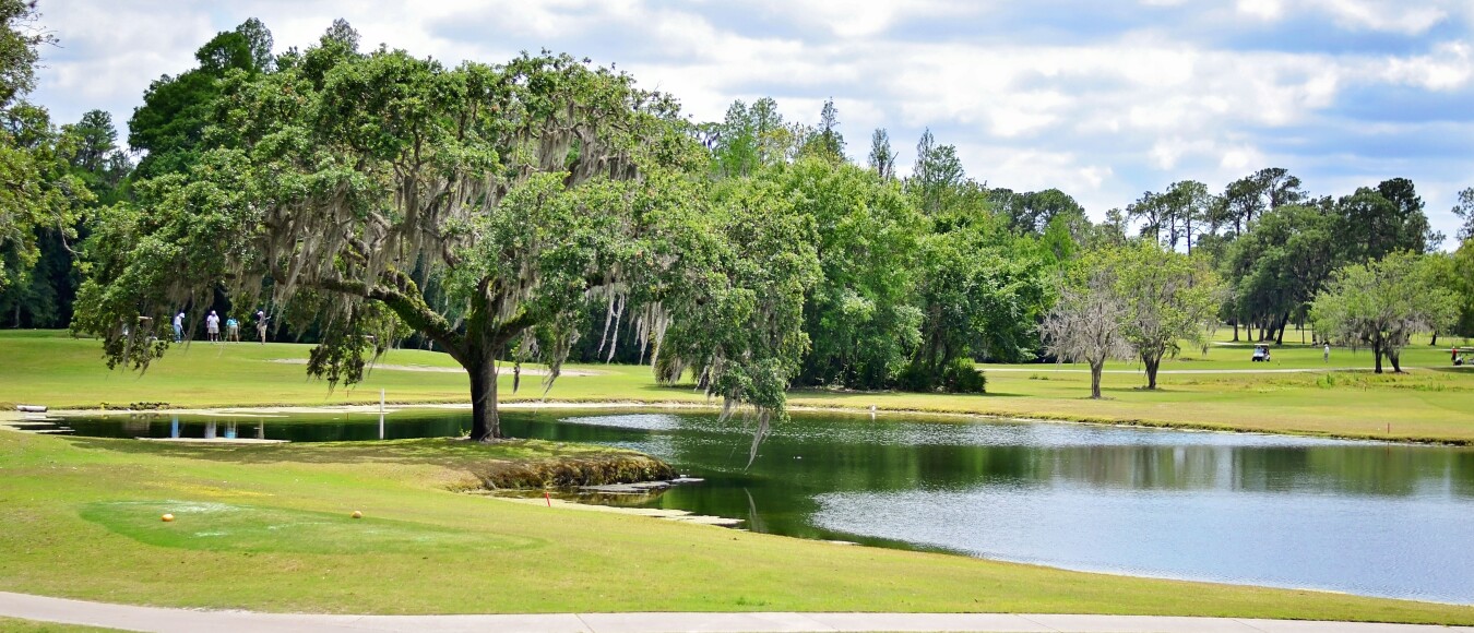 The Claw at USF Golf Courses | Tampa, Florida